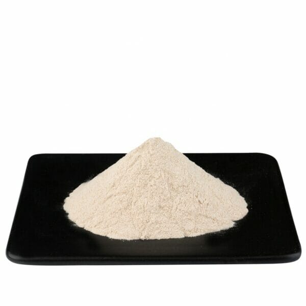 Alpha-Amylase Enzyme | Bulk Powder for Starch & Baking