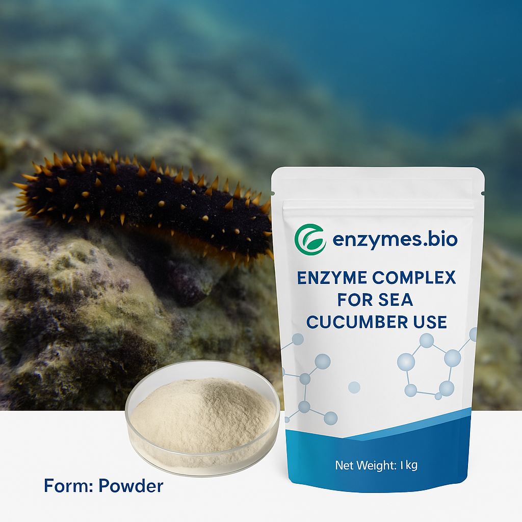 Sea Cucumber Enzyme Complex – Aquaculture Feed-Grade Additive - Enzymes.bio