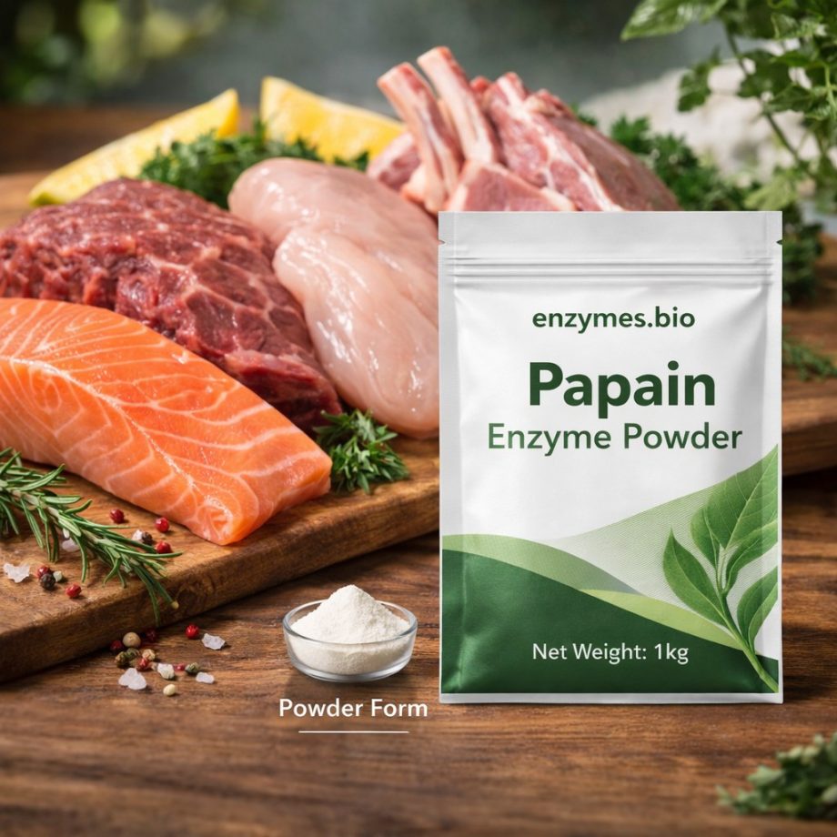 Papain Enzyme - Enzymes.bio
