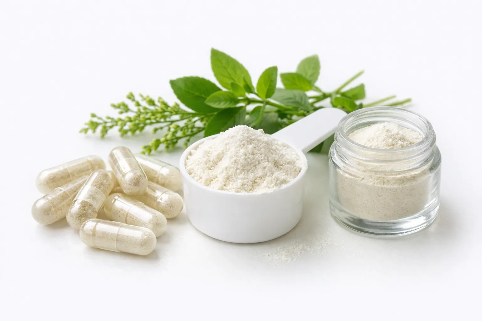 Specialty Enzymes | Bulk Enzyme Ingredients